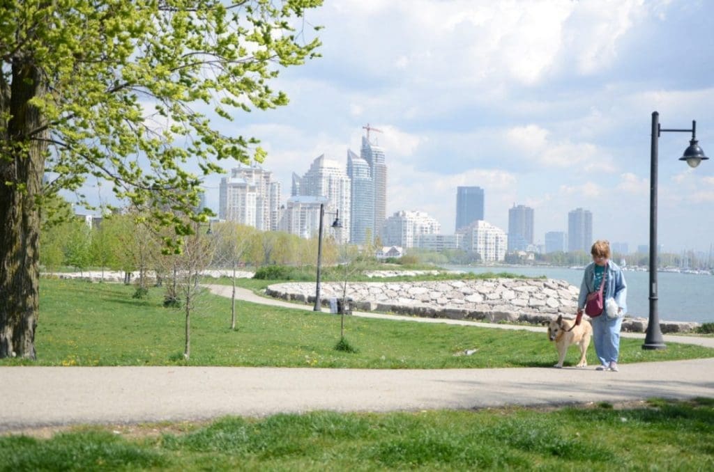 Living in Mimico: We LOVE this Neighbourhood | Christine Cowern Team